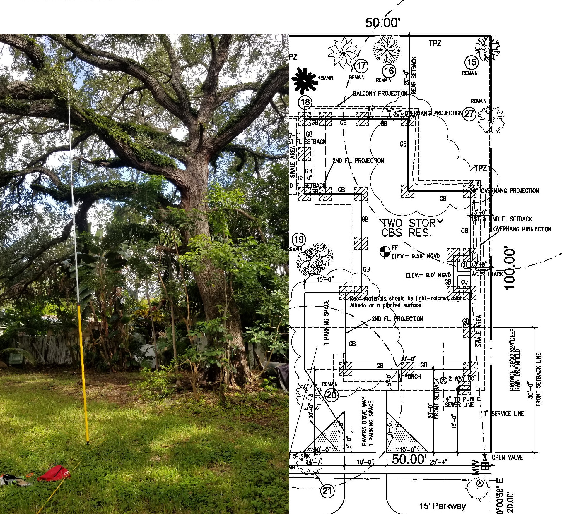 Home | New Leaf Environmental, LLC