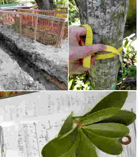 Home | New Leaf Environmental, LLC